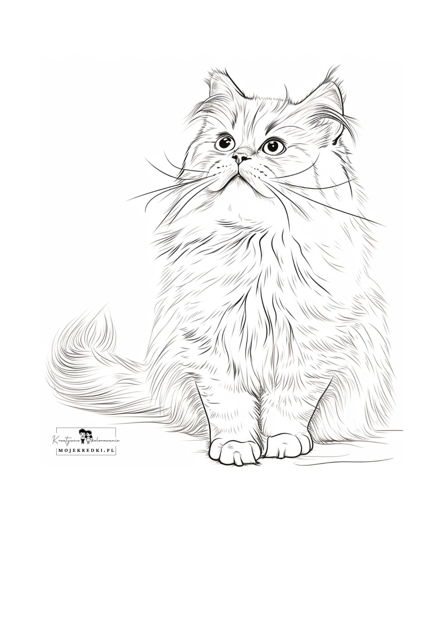 Koty – Kolorowanki do druku