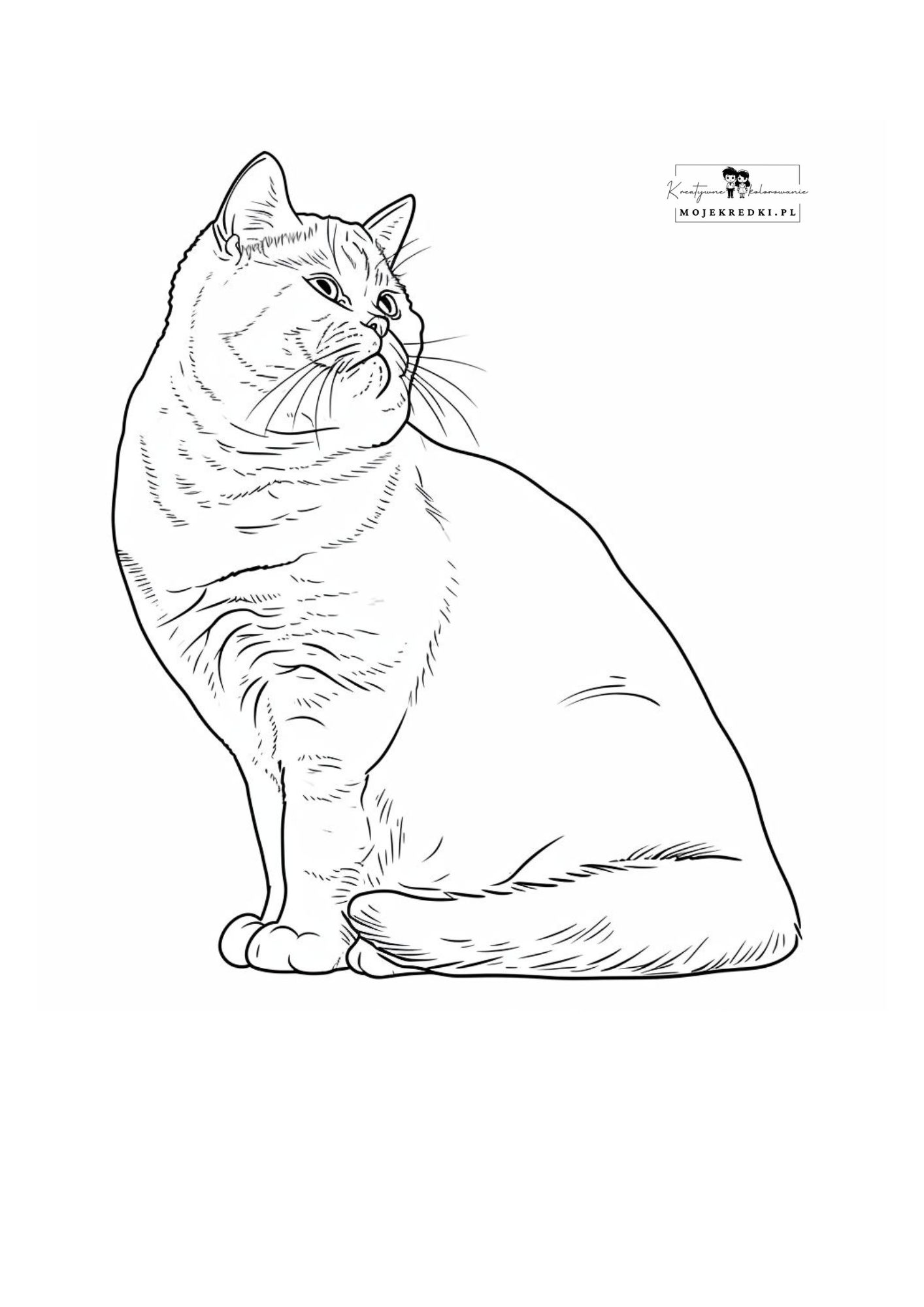 Koty – Kolorowanki do druku